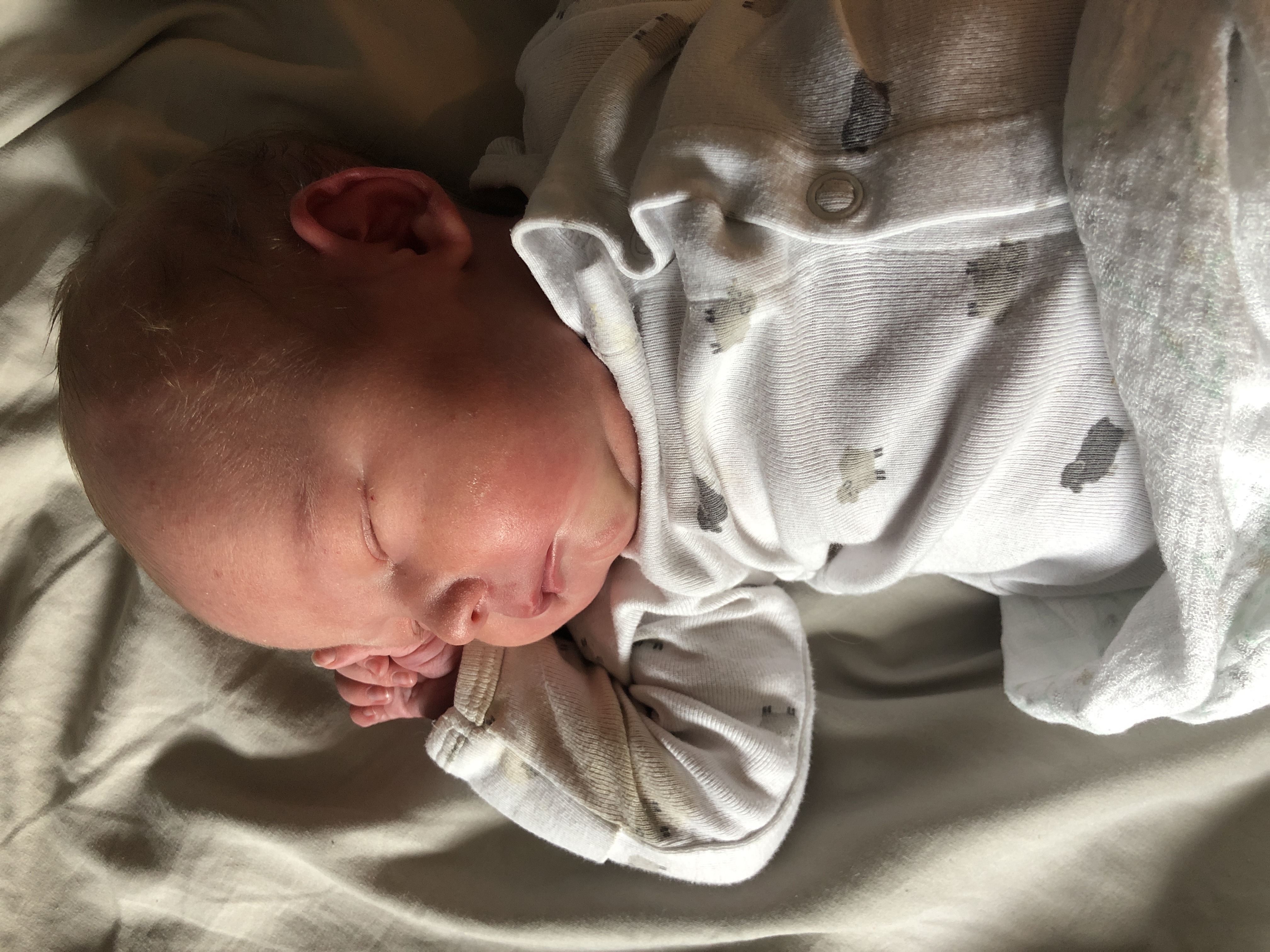 Bradley Method Classes Helped Danielle During Her Home Birth - Mama Natural