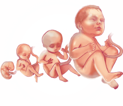 Azia Name Meaning, Origin, Popularity, Girl Names Like Azia - Mama Natural