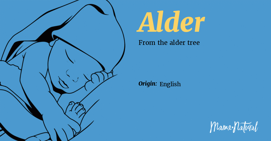 Alder Name Meaning, Origin, Popularity, Boy Names Like Alder - Mama Natural