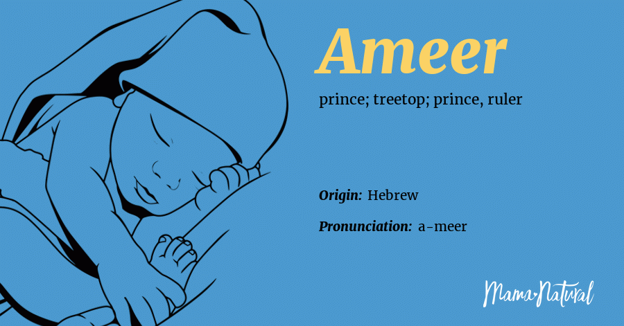 Ameer Name Meaning, Origin, Popularity, Boy Names Like Ameer - Mama Natural