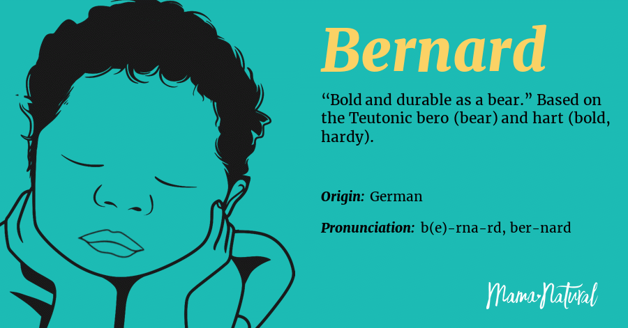 Bernard Name Meaning, Origin, Popularity, Boy Names Like Bernard - Mama Natural