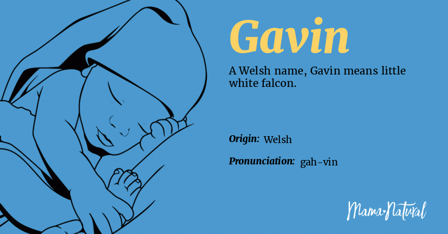 Gavin Name Meaning, Origin, Popularity, Boy Names Like Gavin - Mama Natural