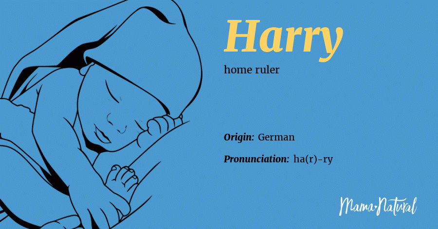 Harry Name Meaning, Origin, Popularity, Boy Names Like Harry - Mama Natural