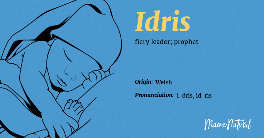 Idris Name Meaning, Origin, Popularity, Boy Names Like Idris - Mama Natural