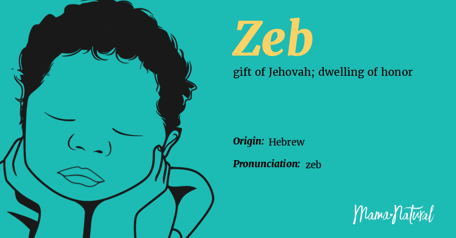 Zeb Name Meaning, Origin, Popularity, Boy Names Like Zeb - Mama Natural
