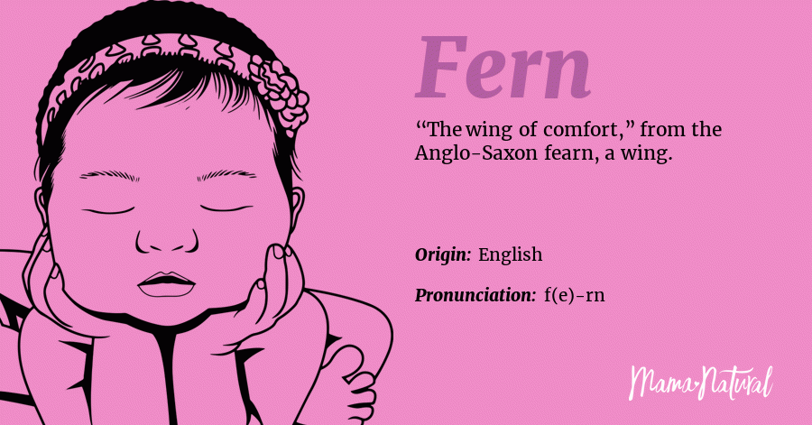 Fern Name Meaning, Origin, Popularity, Girl Names Like Fern - Mama Natural